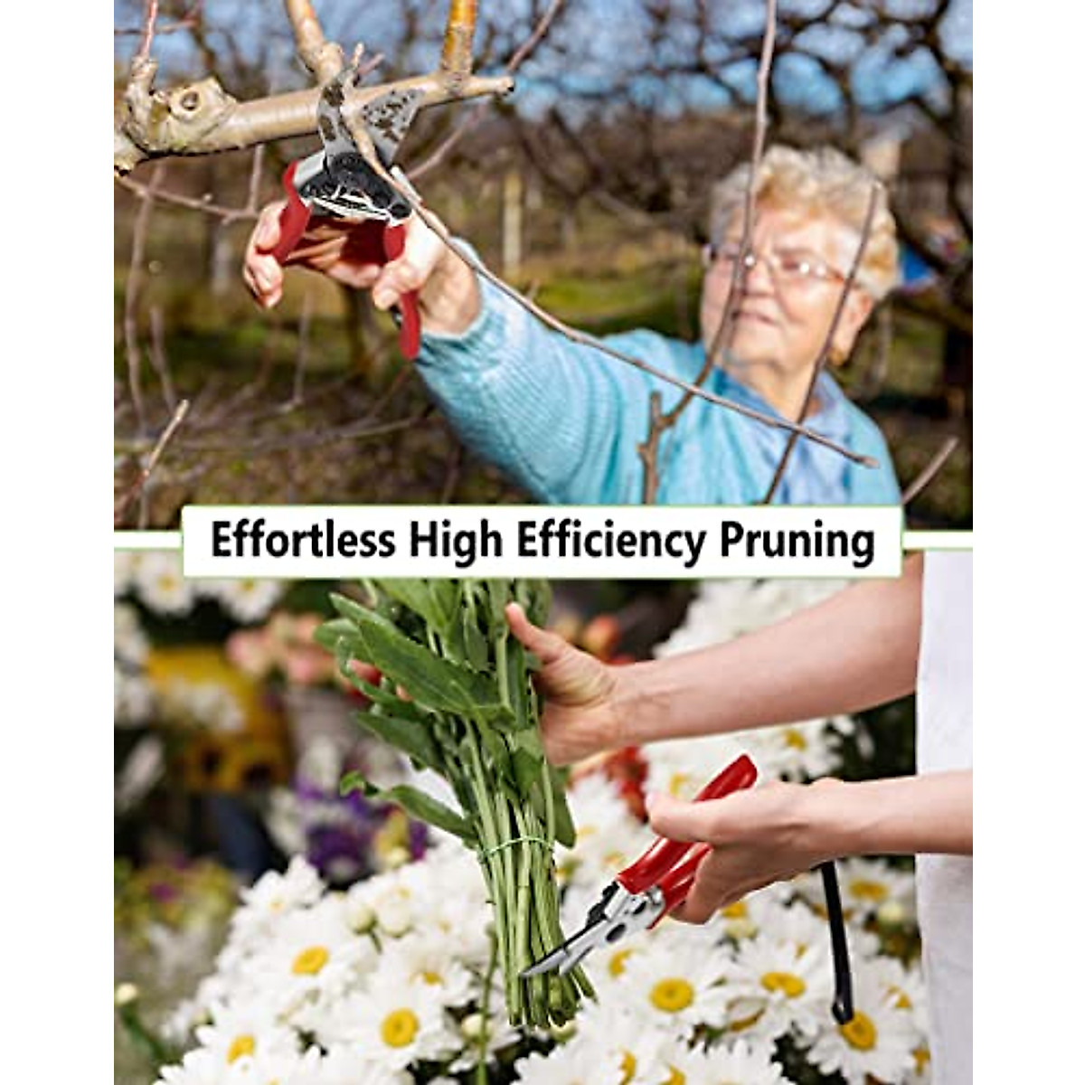 Pruning Garden Shears,Three Wood Plant Scissors for Gardening,Branch Cutter,Tree Trimmer,Bypass & Flower Pruners,Heavy Duty Hand Clippers Snips Secateurs