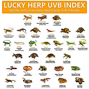 LUCKY HERP 24inch 18W T8 UVB 10.0 Reptile Light, UVA UVB Bulb, Fluorescent Lamp for Reptiles Amphibian