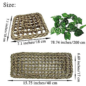 MUYG 4 PCS Bearded Dragon Hammock, Lizard Lounger Reptile Natural Seagrass Hammocks Climb Vines Plant Decoration Terrarium Accessories for Lizards Chameleon Gecko Snakes Crown Geckos