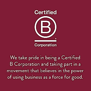 Stash Tea Decaf Chocolate Hazelnut Black Tea - Decaf, Non-GMO Project Verified Premium Tea with No Artificial Ingredients, 18 Count (Pack of 6) - 108 Bags Total