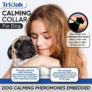 TopSum Calming Collar for Dogs: Premium Dog Calming Collar - Calming Collars for Dogs - Pheromone Collar for Dogs - Calming Dog Collar - Dog Anxiety Relief, 4 Pack (Light Gray)