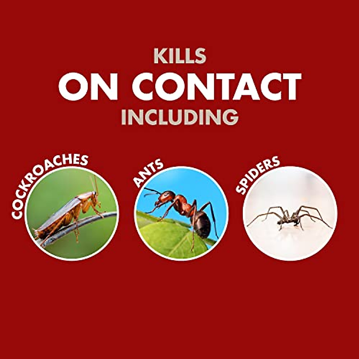 Spectracide Bug Stop Home Barrier Spray, Kills Ants, Roaches and Spiders On Contact, Indoor and Outdoor Insect Control, 1 Gallon