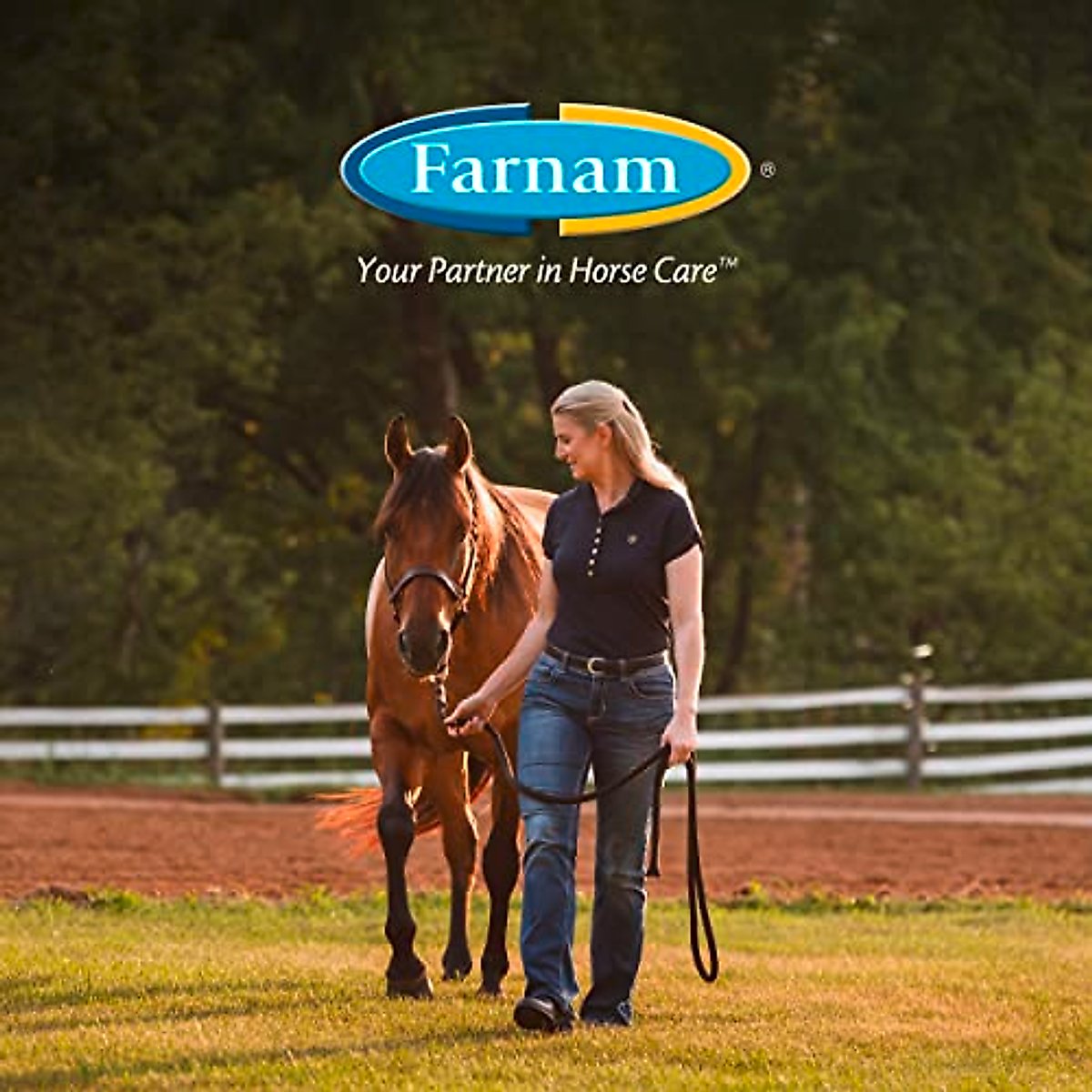 SuperMask II Fly Mask Without Ears for Smaller Horses or Arabian Horses, Full Face Coverage and Eye Protection from Insect Pests, Structured Classic Mesh with Plush Trim, Small Horse/Arabian Size