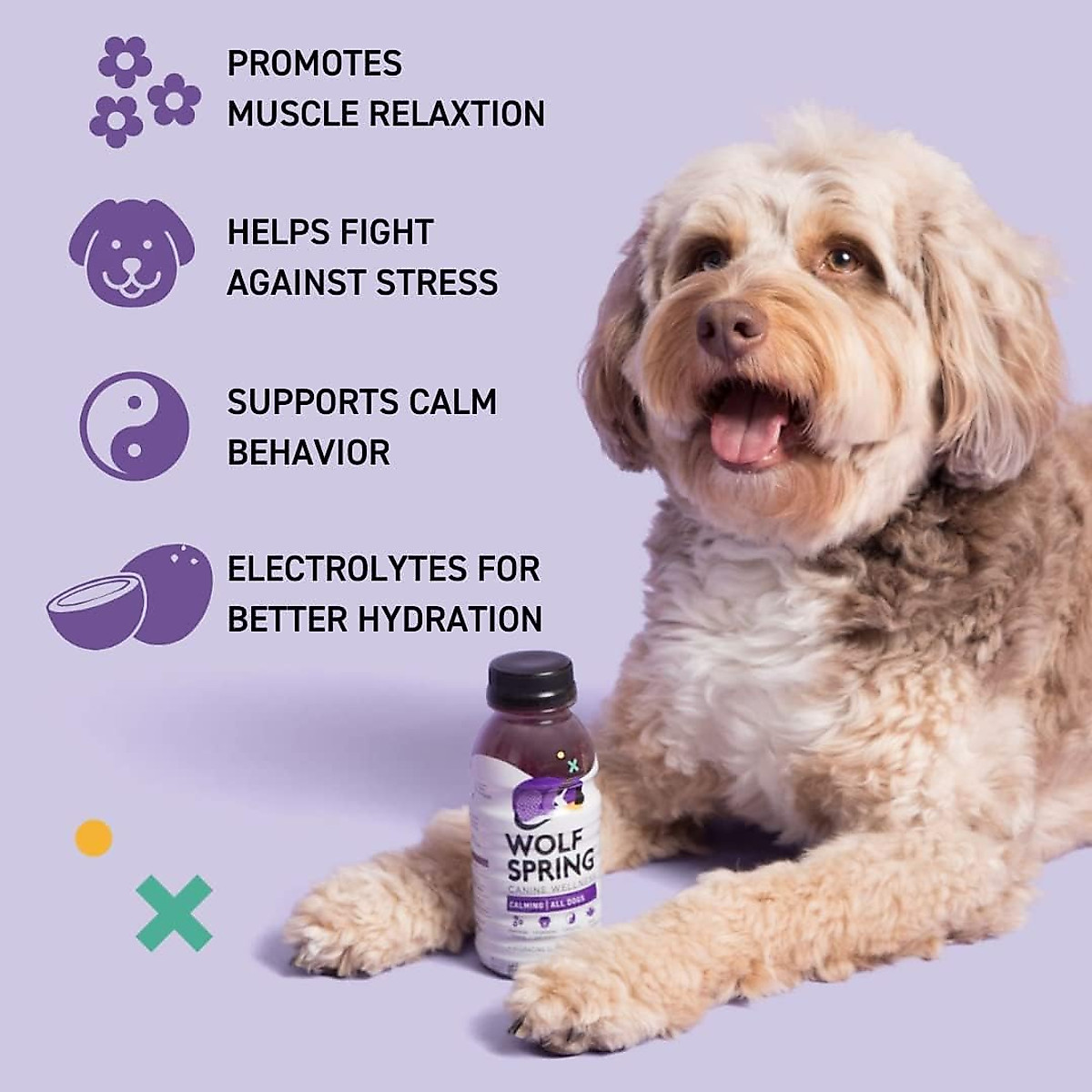 Wolf Spring Calming Food Topper 12 Pack - Dog Anxiety Relief - Calming Treats for Dogs - Natural Food Topper Dog Calming Treats for Anxiety - Reduce Anxious Behavior & Promote Relaxation