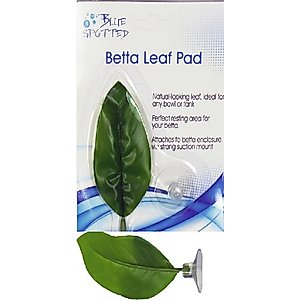 Blue Spotted Betta Plant Leaf Pad for Betta Fish, Tropical Fish Aquariums & Saltwater Fish Aquariums