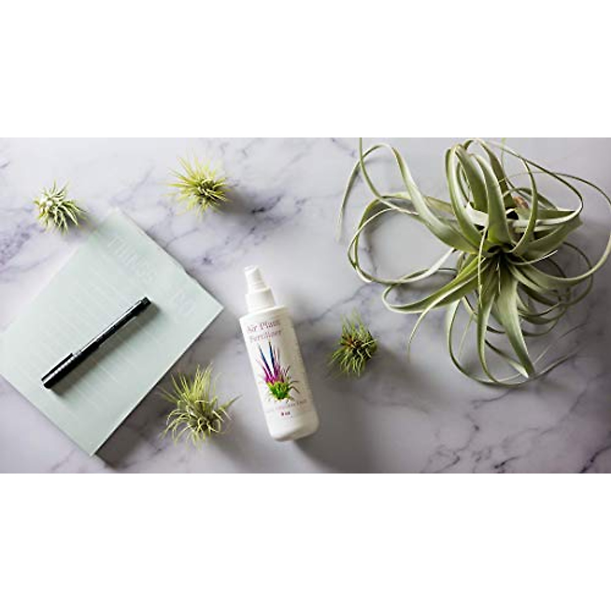 Tillandsia Air Plant Food | Fertilizer Kit with Spray Bottle and Mister | Encourages Air Plants to Bloom with Formulated Nutrients by Aquatic Arts