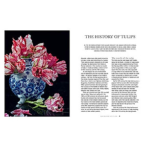 Tulips: Beautiful Varieties for Home and Garden