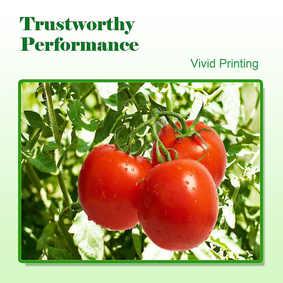 4-Pack Compatible HP 128A Black,Cyan, Magenta, Yellow Toner Cartridges Works with HP Pro Color CP1525n CP1525nw CM1415fnw CM1415fn Printer Ink