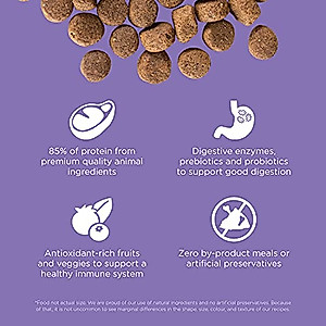 GO! SOLUTIONS Carnivore Grain Free Dog Food for Senior Dogs, 3.5 lb – Chicken, Turkey + Duck Recipe – Protein Rich Dry Dog Food – Complete + Balanced Nutrition for Senior Dogs