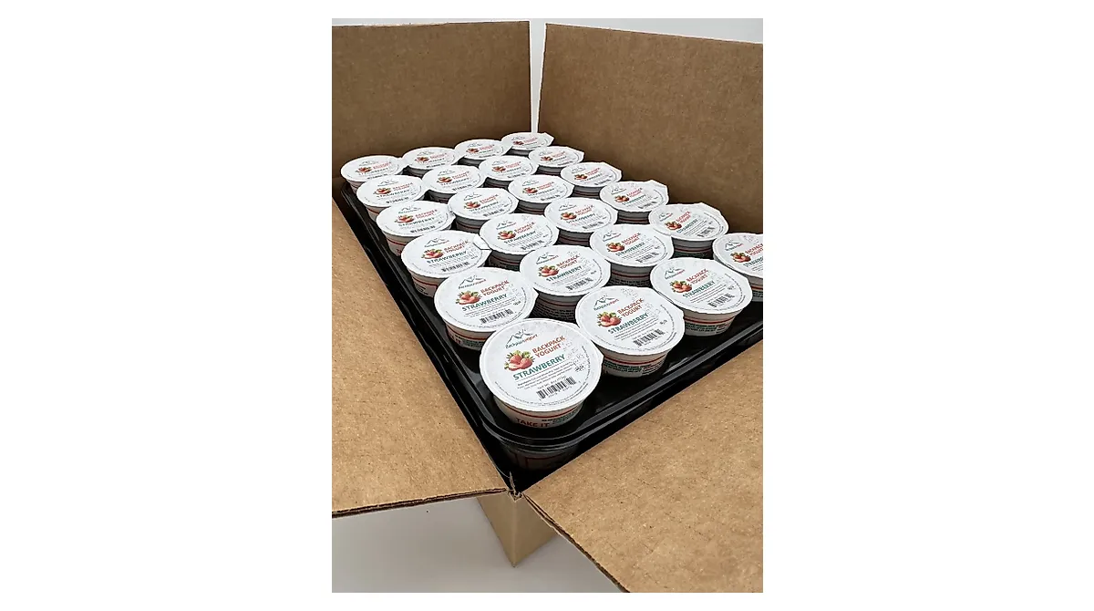 Backpack Yogurt Strawberry - Shelf Stable Fruit Yogurt Snack 48 Pack