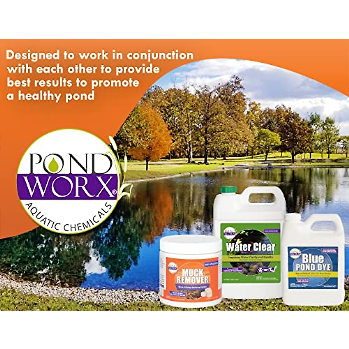 PondWorx Pond Bacteria - Formulated for Large Ponds, Water Features and Safe for Koi - Gallon