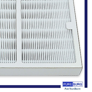 PUREBURG IAF-H-100A True HEPA Replacement Filter Kit Compatible with Idylis IAF-H-100A AC-2119 IAPC-10-140 IAP-10-100 IAP-10-150 Air Purifiers, H13 Activated carbon Pre-Filter Air Clean Dust VOCs