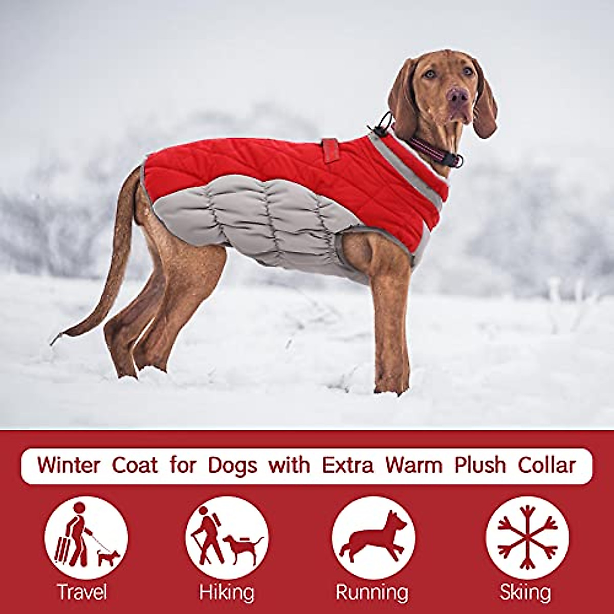 FUAMEY Dog Coat,Warm Dog Jacket Winter Coat Paded Dog Fleece Vest Reflective Dog Cold Weather Coats with Built in Harness Waterproof Windproof Dog Snow Jacket Clothes with Zipper Red Small