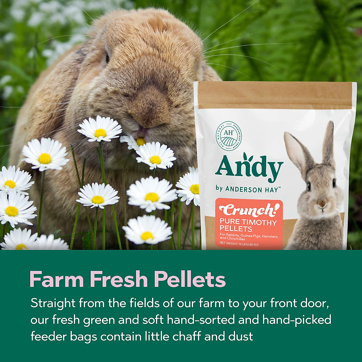 Andy Timothy Hay Pellets, Crunch! Pure Organic Rabbit Food, 15 lb Bag, Premium Guinea Pig and Chinchilla Hay, Balanced Nutrition for Rabbits, Chinchillas, and Guinea Pigs