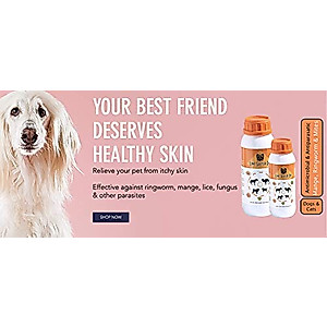 Classic's Lime Sulfur Dip - Pet Care for Itchy and Dry Skin - Xtra Strength Formula - Safe Solution for Dog, Cat, Puppy, Kitten, Horse (16 fl oz)