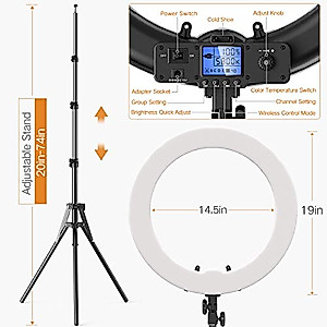 Ring Light, 19" Bi-Color LCD Display Ring Light with Stand, 55W 3000-5800K CRI≥97 Light Ring for Vlogging Selfie-Portrait Live Stream Video Photography Shooting