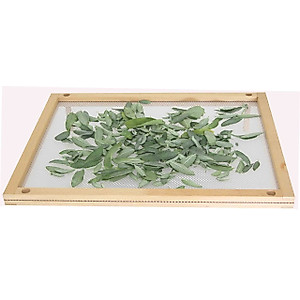 Eppicotispai Beechwood Stackable Food Dryer with Net