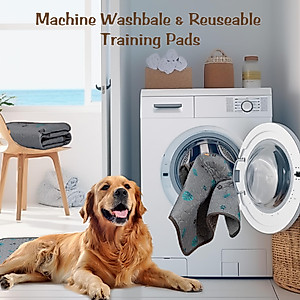 Bregdosy Super Absorbent Washable Pee Pads for Dogs Large 31"x24",2Pack Reusable Dog Pee Pads, Non-Slip and Leak-Proof Potty Pads,Puppy Pads Pet Training Pads for Whelping,Potty Training…