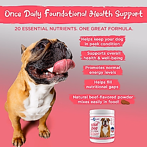 Vital Planet - Vital Dog Multi Vitamin Powder Supplement for Everyday Health with Vitamins, Minerals and Antioxidants for Dogs - Beef Flavored Powder, 30 Servings, 75 Grams