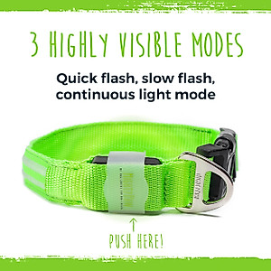 Mighty Paw LED Dog Collar - USB LED Rechargeable - USB Rechargeable Light - High Visibility Glow Strips - Glow Pet Weather Resistant - Enhanced Nighttime Visibility - Light Up Dog Collar - (L, Green)