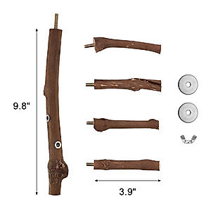 CozyCabin Natural Bird Perch Stand, Hanging Multi Branch Grapevine Parrot Perch Bird Cage Toys for Small Budgies Conure Parrot Parakeets Cockatiels Lovebirds (Branch)