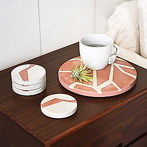 Main + Mesa 10" Round Sandstone Trivet, Terracotta/Off-White