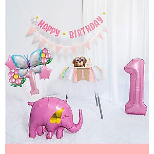 Butterfly Balloon 1st Birthday Decorations,Pink Blue Butterfly Fairy Floral Foil Balloons for Girl First Birthday Party Decorations Baby Shower Supplies…