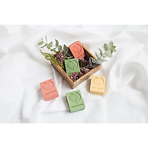 Naturtint Shampoo & Conditioner Bar (Lemon Lime) - Naturally Derived Ingredients, Cruelty Free, All Hair Types, Travel Approved