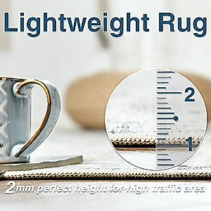 jinchan Area Rug 8x10 Vintage Rug Indoor Flodable Thin Rug Retro Accent Rug Distressed Carpet Blue Multi Floral Print Mat Country Boho Rug Non Slip Kitchen Bedroom Living Room Dining Room Office