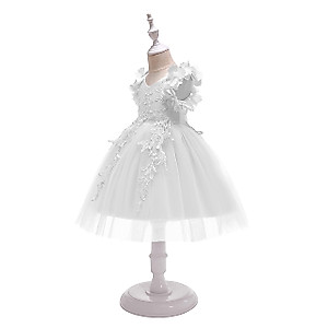 Weileenice Easter White Flower Girl Lace Embroidery Dress 2 3 Kids Baptism Birthday Church Wedding Party Pageant Princess Ball Gown Christmas Little Girls Formal Prom Tutu Tulle Dresses New Year