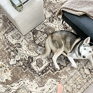 YOUFORTONG Washable 8x10 Area Rugs: Rugs for Living Room Ultra Soft Carpet for Bedroom Waterproof Rug Non Slip Rugs for Hardwood Floors (Beige, 8x10)