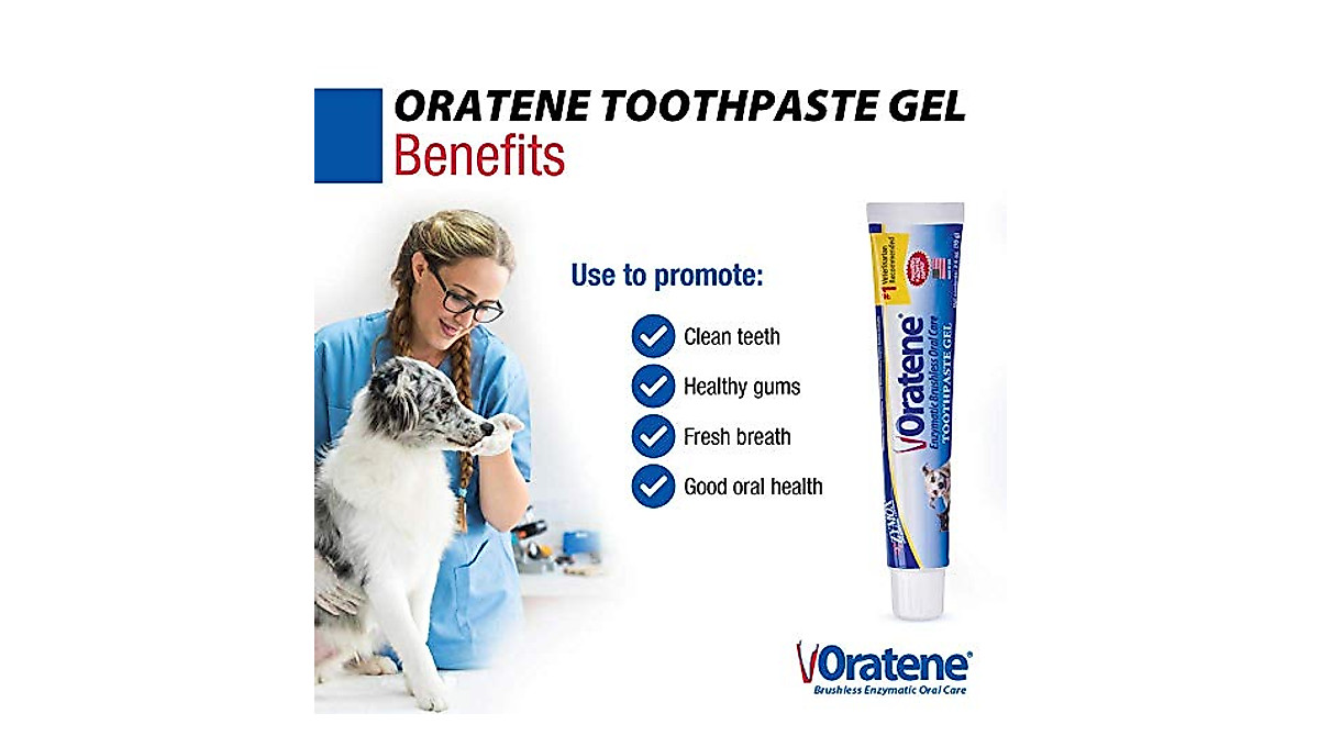 Oratene Brushless Toothpaste Gel for Dogs & Cats - Easy Oral Care
