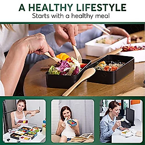 Umami Bento Box Adult Lunch Box Microwave Safe, Easy to Clean, 40 oz Large, All-in-One Meal Prep Compartment Lunch Box Containers, Cute Leak Proof Bento Box, Lunch Organizer