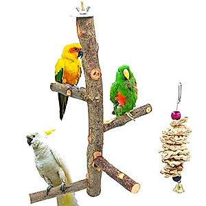 Bird Perch Nature Apple Hard Wood Stand, Parrot Stand Toy Branch Platform Paw Grinding Stick for Small Parakeets Cockatiels Conures Parrots Love Birds Finches Cage Accessories (Set 1)