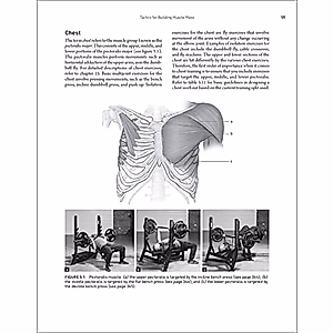 Jim Stoppani's Encyclopedia of Muscle & Strength