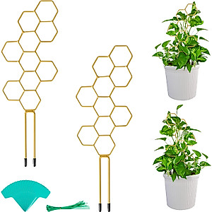 GROWNEER 2 Pcs 14" Small Plant Trellis for Climbing Plant, Honeycomb Metal Potted Trellis with 20 Pcs Cable Ties, 15 Pcs Plant Labels, Plant Support for Flower Stem Vines, Golden