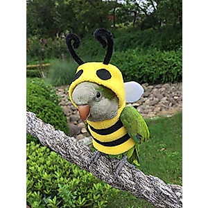 Parrot bird supplies, light flying clothes, warm and comfortable, tiger skin, green cheek parrot, little sun parrot, monk parrot, starling, mynah, Senegal parrot, mini macaw, Keck parrot, etc. (2M)