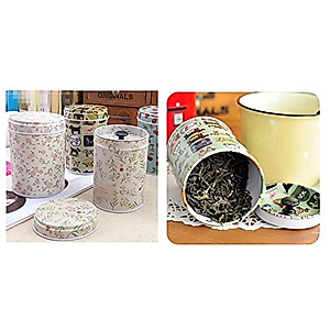 Leoyoubei 3.55x2.55 Inch Dry Storage Tinplate Caddy Box Retro Double Cover Home Kitchen Storage Containers Colorful Tins Round Tea Tins Set of 6 (shipped randomly)