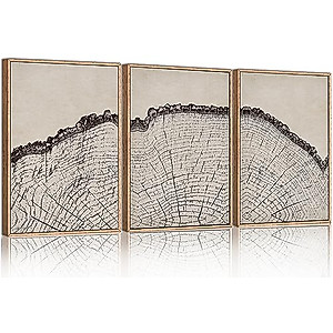 HPINUB Vintage Wood Tree Rings Wall Art Set, Framed Canvas Paintings, Black and White Nature-Inspired Decorative for Modern Home Decor for Living Room, Bedroom, Dining Room, Office- 16"x24"x3