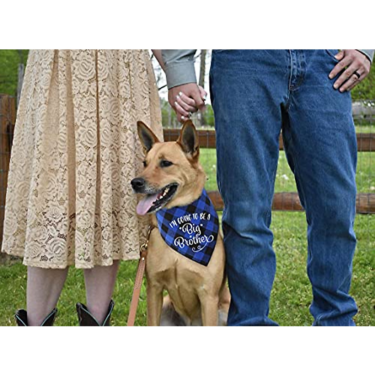 NC YHTWIN I'm Going to Be a Big Brother Dog Bandanas, Pet Baby Bulletin Plaid Dog Scarf, Gender Revealing Photo Props, Pet Dog Photo Props Accessories