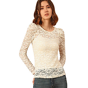 Allegra K Women's Long Sleeve Lace Top Mesh Sheer Fitted Elegant Blouse X-Large Beige