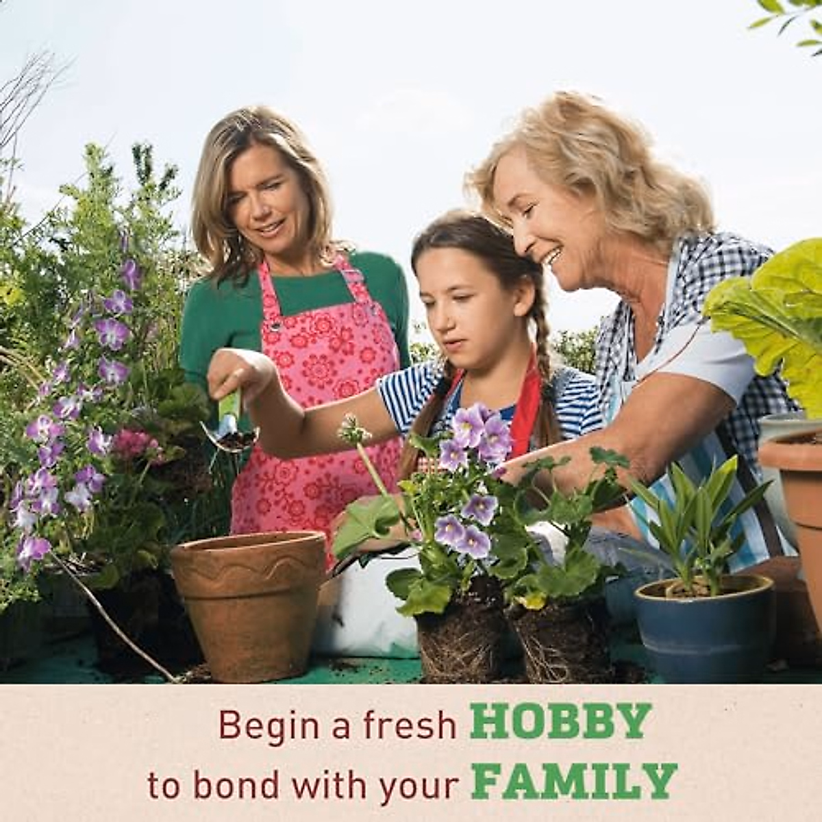 Garden Trends - Pea Seeds - Sugar Sprint Variety - Non-GMO Vegetable for Outdoor Planting Home Garden - Compact Vines - Edible, Stringless Pods - 100 Seeds