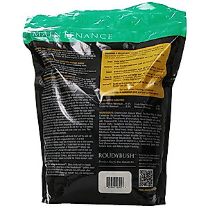 RoudyBush Daily Maintenance Bird Food, Small, 10-Pound