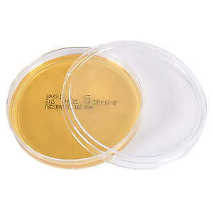 Lactobacilli MRS Agar, for The Cultivation of Lactobacillus Spp, 15x100mm Plate, Order by The Package of 10, by Hardy Diagnostics