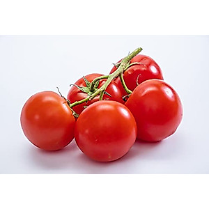 Large Red Cherry Tomato Seeds for Planting, 500+ Heirloom Seeds Per Packet, (Isla's Garden Seeds), Sweet, Non GMO Seeds, Botanical Name: Solanum lycopersicum, Great Home Garden Gift