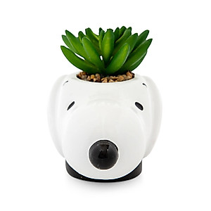 Peanuts Snoopy Face Ceramic Mini Planter with Artificial Succulent | Small Flower Pot, Faux Indoor Plants for Desk Shelf, Home Decor Trinket Tray | Cute Charlie Brown Gifts and Collectibles