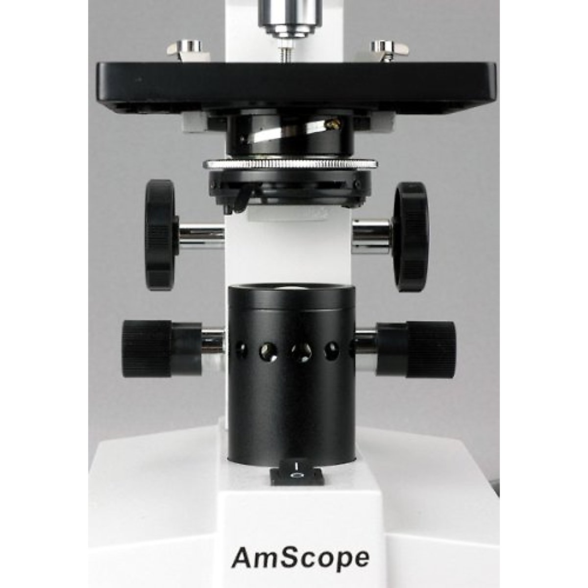 AmScope B100B-E Digital Compound Binocular Microscope, 40X-2000X Magnification, Brightfield, Tungsten Illumination, Abbe Condenser, Plain Stage, Includes 0.3MP Camera and Software