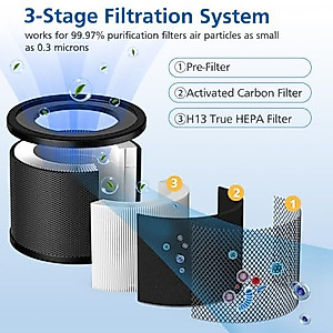 2 Pack H13 True HEPA Replacement Filter, Compatible with TaoTronics TT-AP001 and VAVA VA-EE014, 3-in-1 H13 Grade True HEPA and Activated Carbon Filter