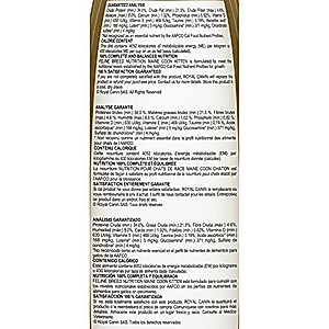 Royal Canin Feline Breed Nutrition Maine Coon Kitten Dry Cat Food, 3 lb