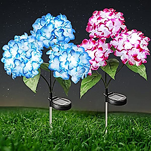 Solar Flower Lights-2 Pack Waterproof Solar Garden Flower Lights with Solar Hydrangea Stake, Solar Decorative Lights for Patio, Courtyard, Garden Lawn (Blue & Rose Red)